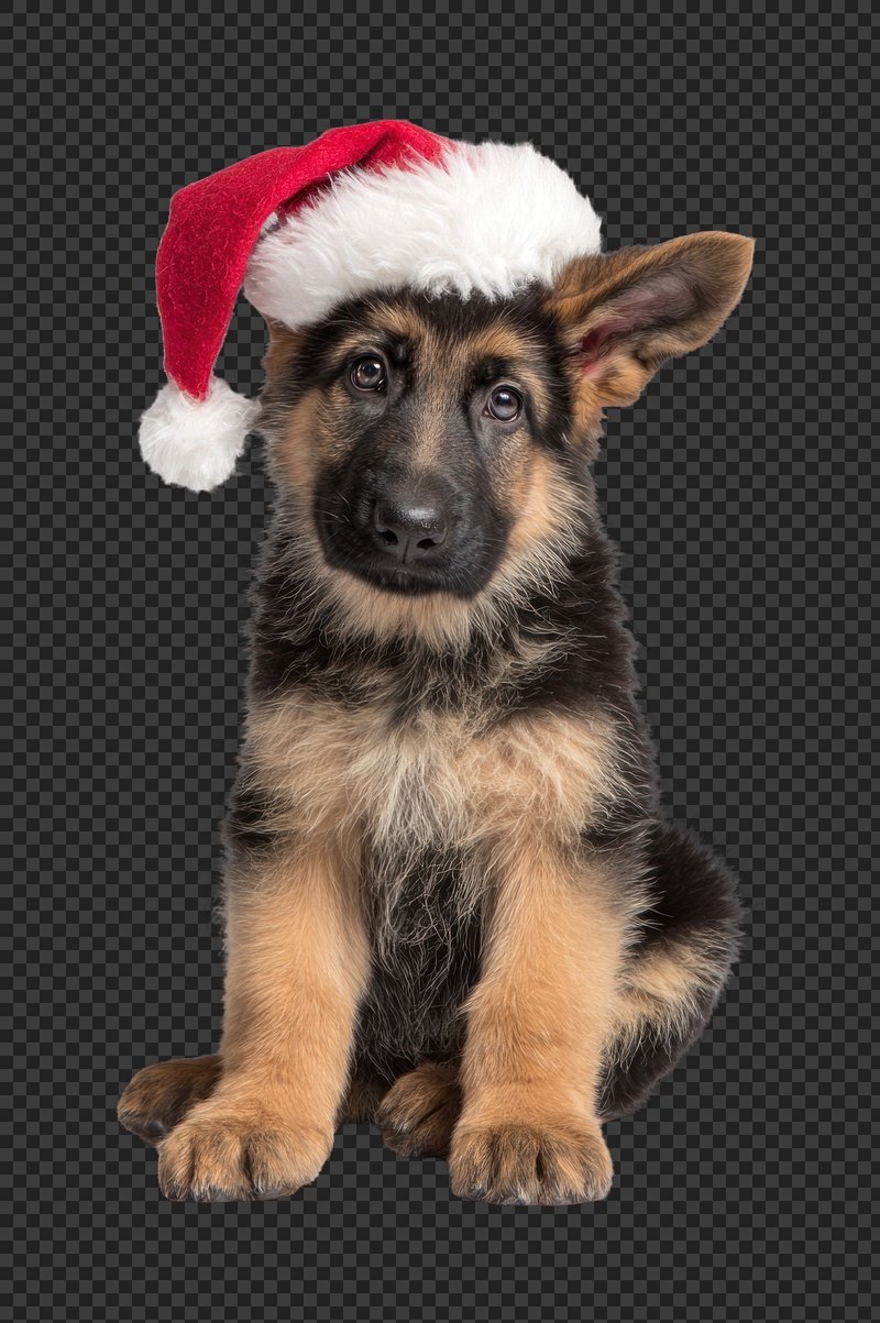 Santa Body Images | Free Photos, PNG Stickers, Wallpapers & Backgrounds ...