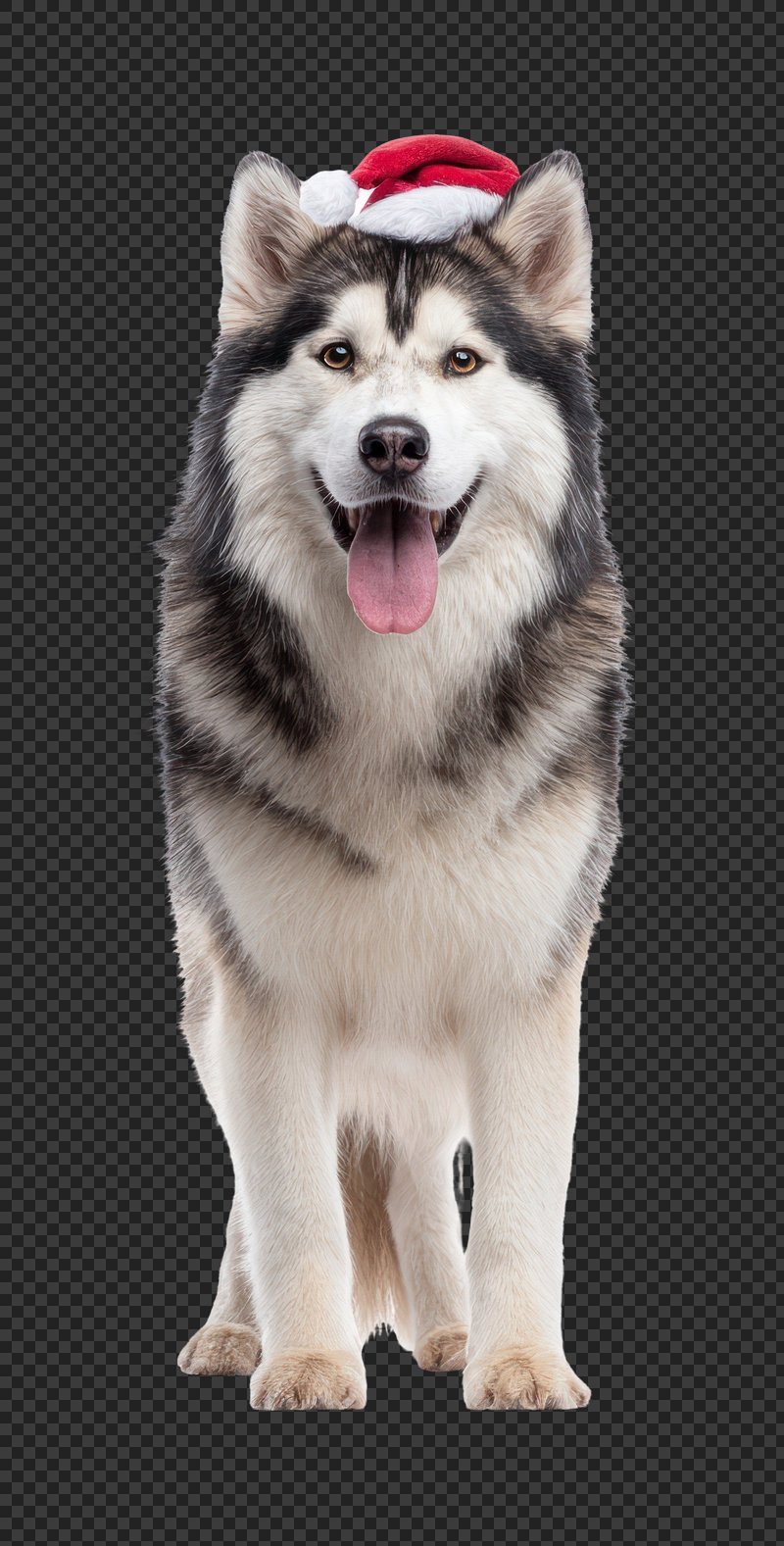 Santa Body Images | Free Photos, PNG Stickers, Wallpapers & Backgrounds ...