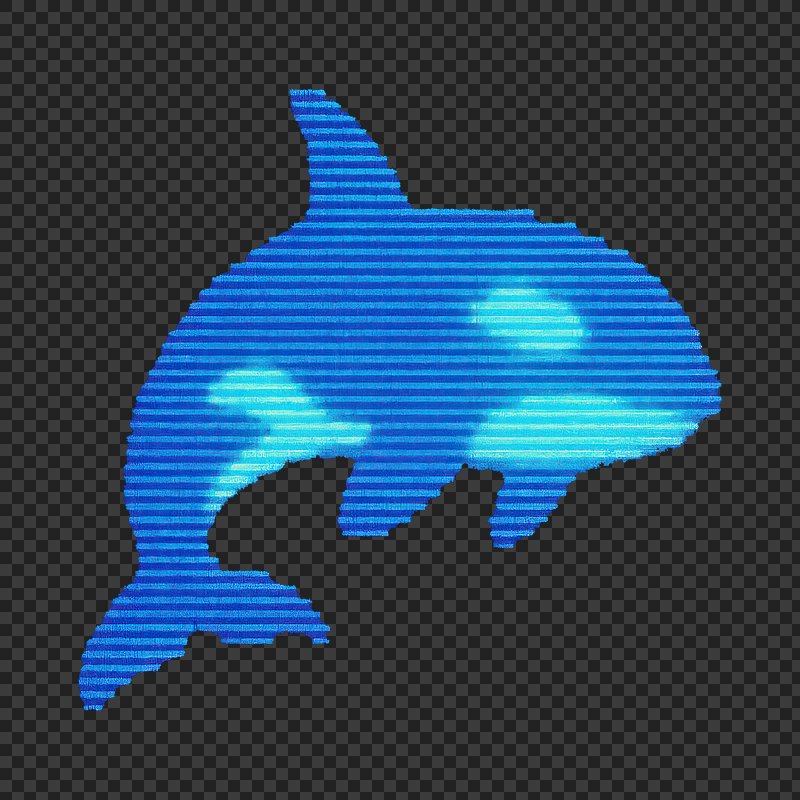 Transparent Dolphin Images | Free Photos, PNG Stickers, Wallpapers ...