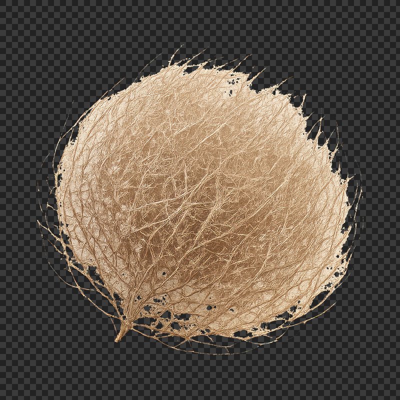 Transparent PNG Tumbleweed Images | Free Photos, PNG Stickers ...