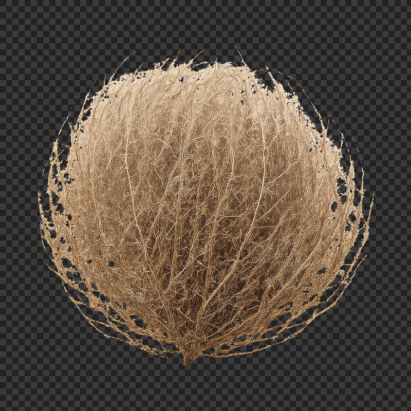 Transparent PNG Tumbleweed Images | Free Photos, PNG Stickers, Wallpapers & Backgrounds - rawpixel