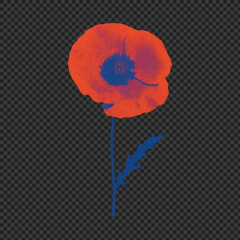 Flowers+preservation Background PNG Images | Free Photos, PNG Stickers ...