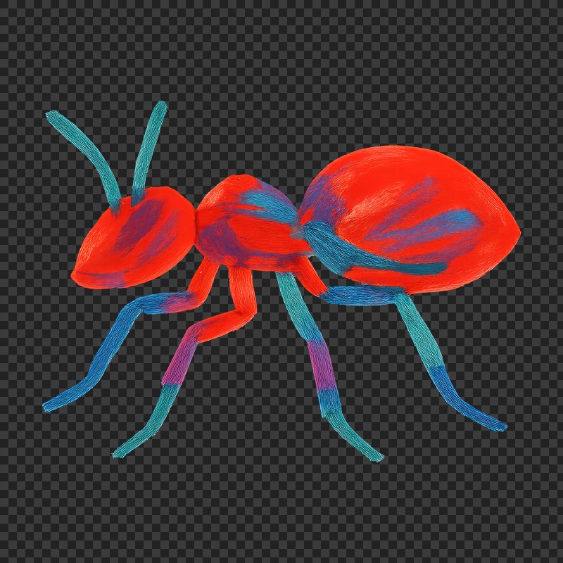 Ants PNG Images | Free Photos, PNG Stickers, Wallpapers & Backgrounds - rawpixel