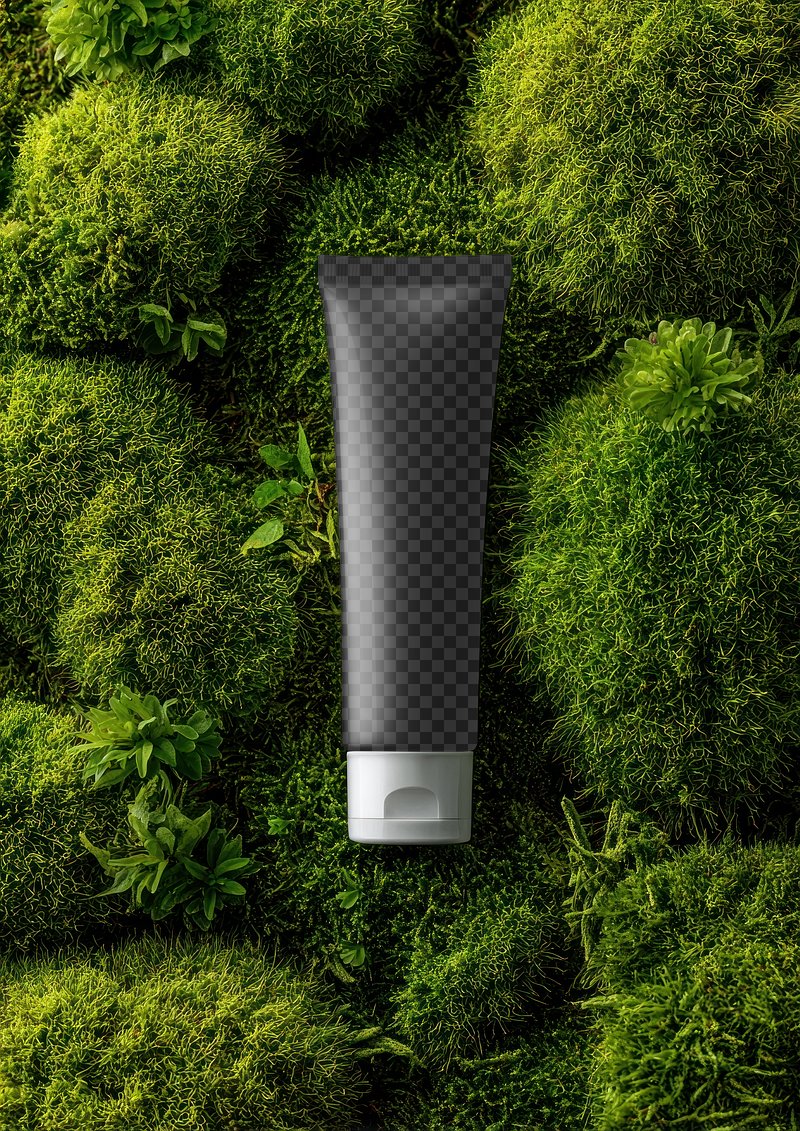 Beautiful Photos Transparent Background Design Images | Free Photos ...