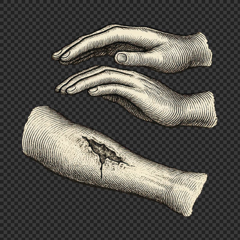 Drawing Of Anatomical Hand PNG Vintage Images | Free Photos, PNG ...