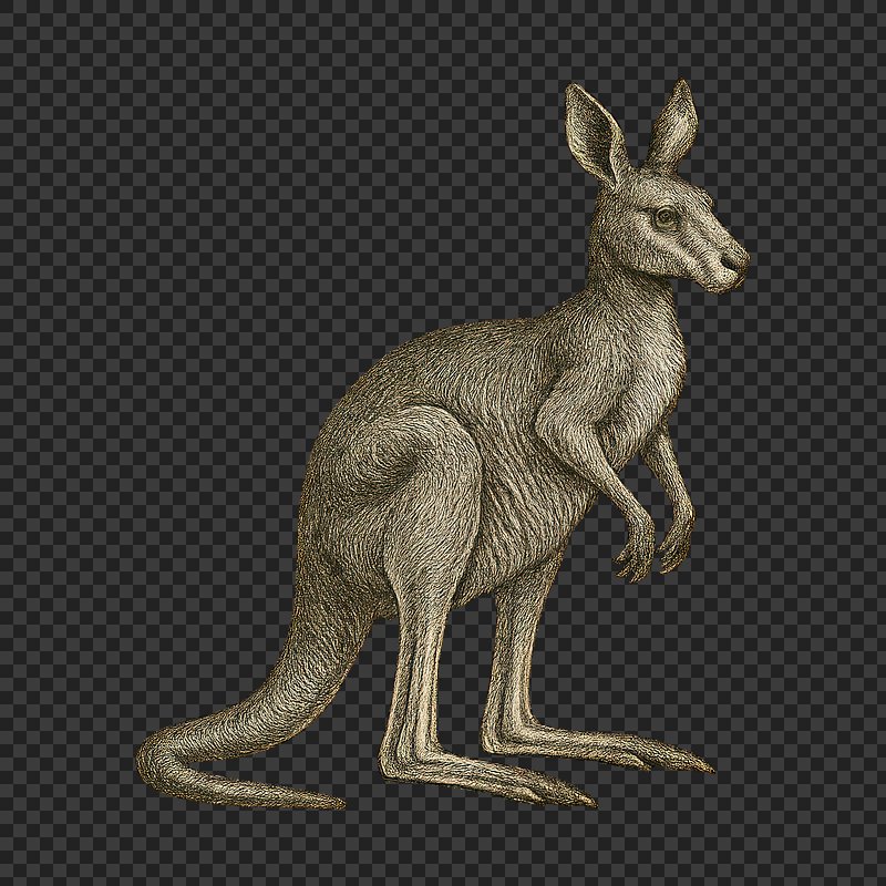 Vintage Kangaroo Isolated Transparent Aesthetic Images | Free Photos ...