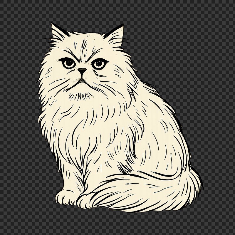 Engraving Portrait Colored PNG Images | Free Photos, PNG Stickers ...