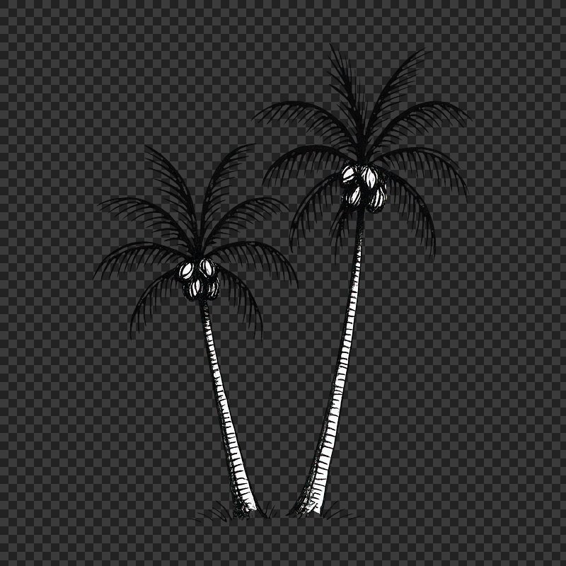 Coconut Background Design Vintage Images | Free Photos, PNG Stickers ...