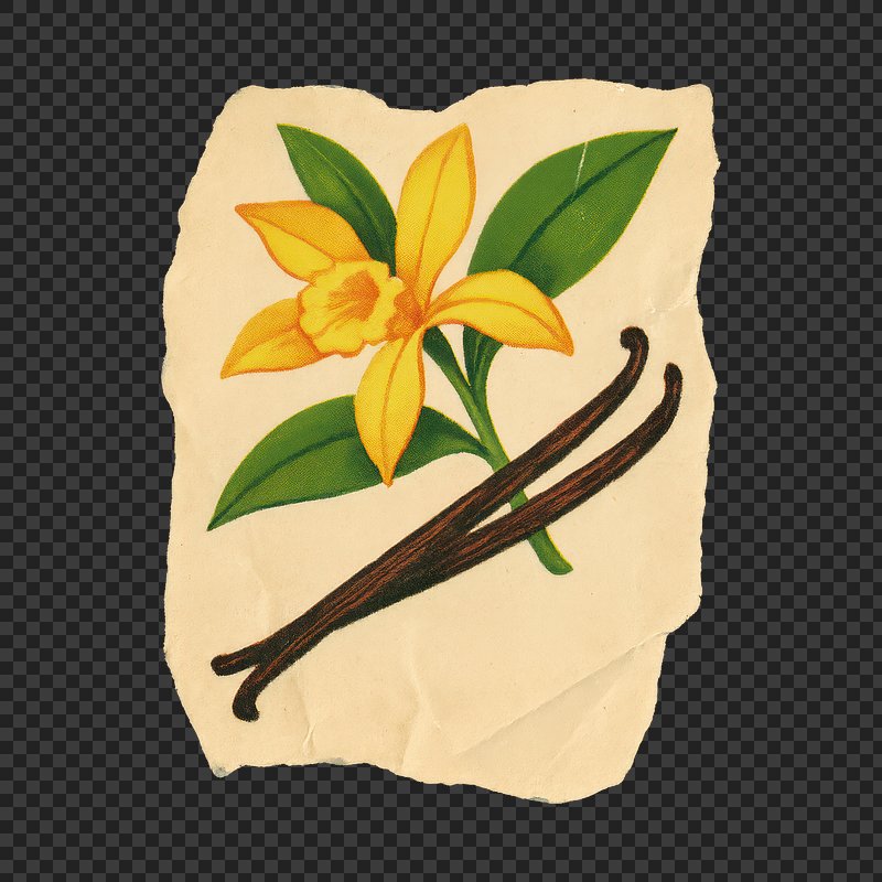 Vanilla+font Isolated Images | Free Photos, PNG Stickers, Wallpapers ...