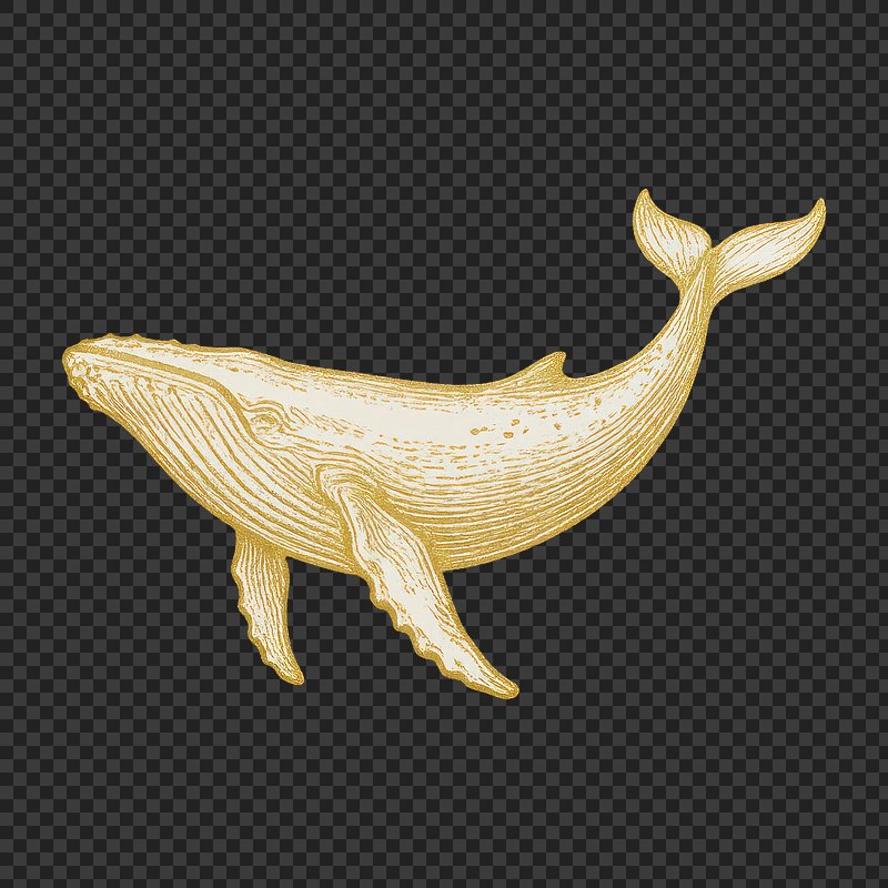 Whale Antique Vintage Images | Free Photos, PNG Stickers, Wallpapers ...