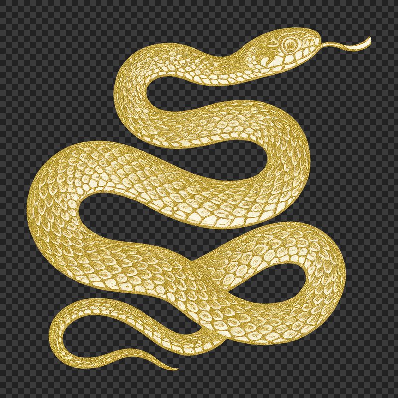 Scale Drawing Transparent Design Realistic Images | Free Photos, PNG ...