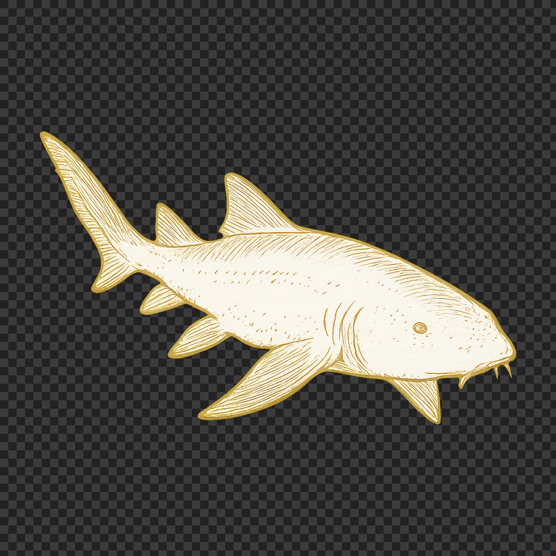 Shark+branding PNG Images | Free Photos, PNG Stickers, Wallpapers ...