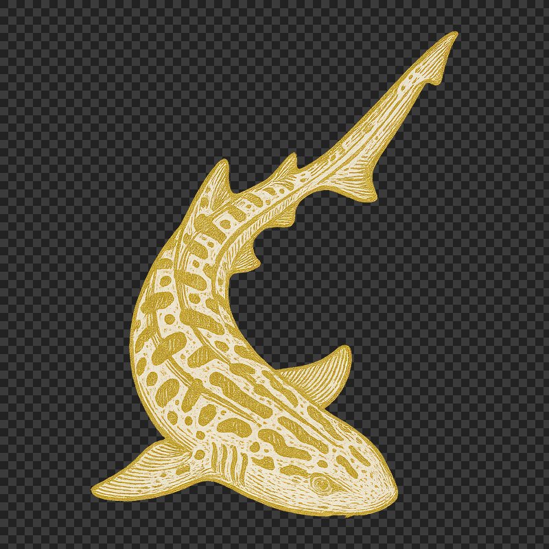 Shark+branding Background Images | Free Photos, PNG Stickers ...