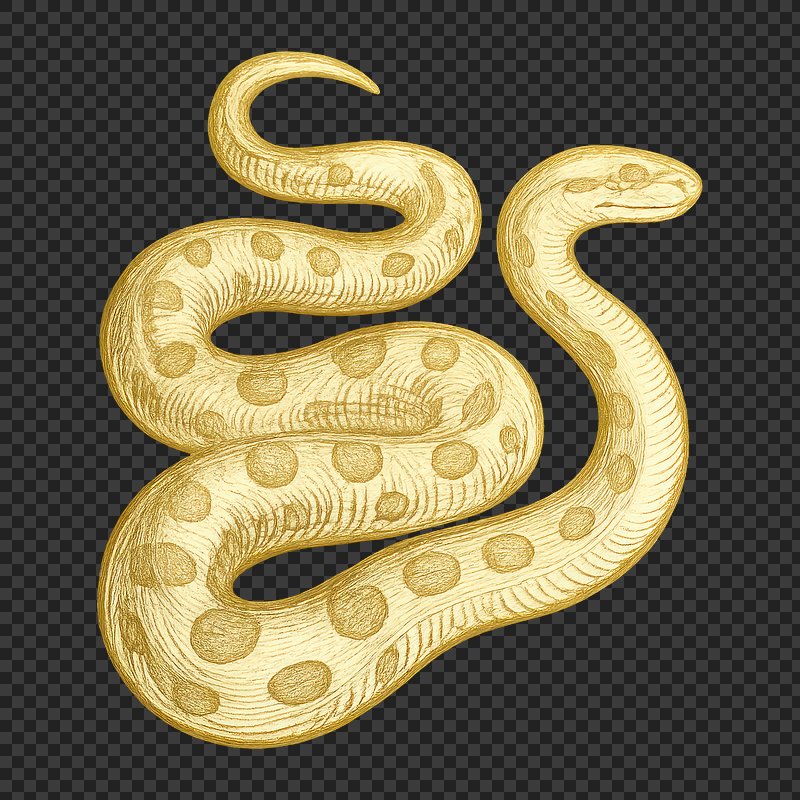Snake Background Animal Transparent Design Vintage Images | Free Photos ...