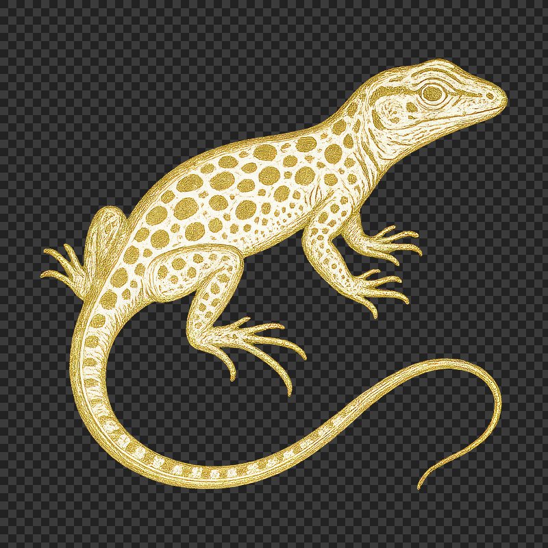 Make+the+frame PNG Images | Free Photos, PNG Stickers, Wallpapers ...