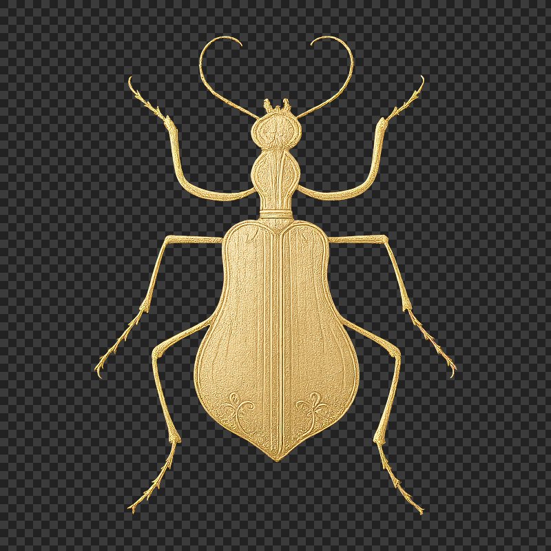 Violin Outline Shadow Design Images | Free Photos, PNG Stickers ...