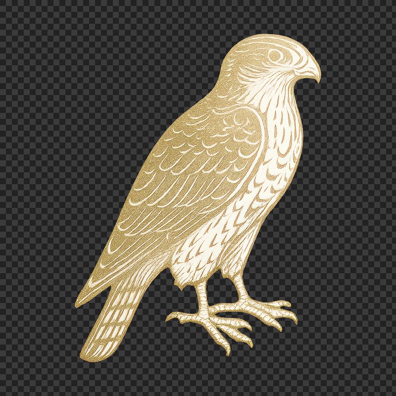 Falcon+bird Texture Images | Free Photos, PNG Stickers, Wallpapers ...