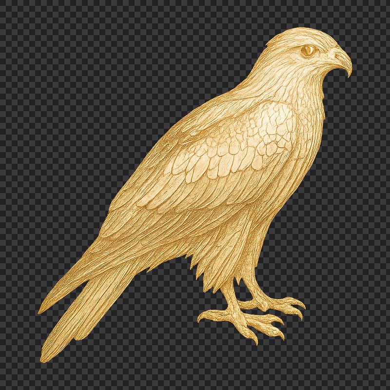 Falcon Illustrations Vintage Images | Free Photos, PNG Stickers ...