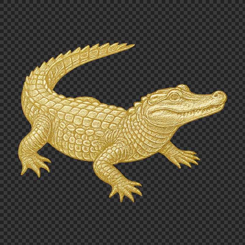 Alligators Reptile Texture Images | Free Photos, PNG Stickers ...