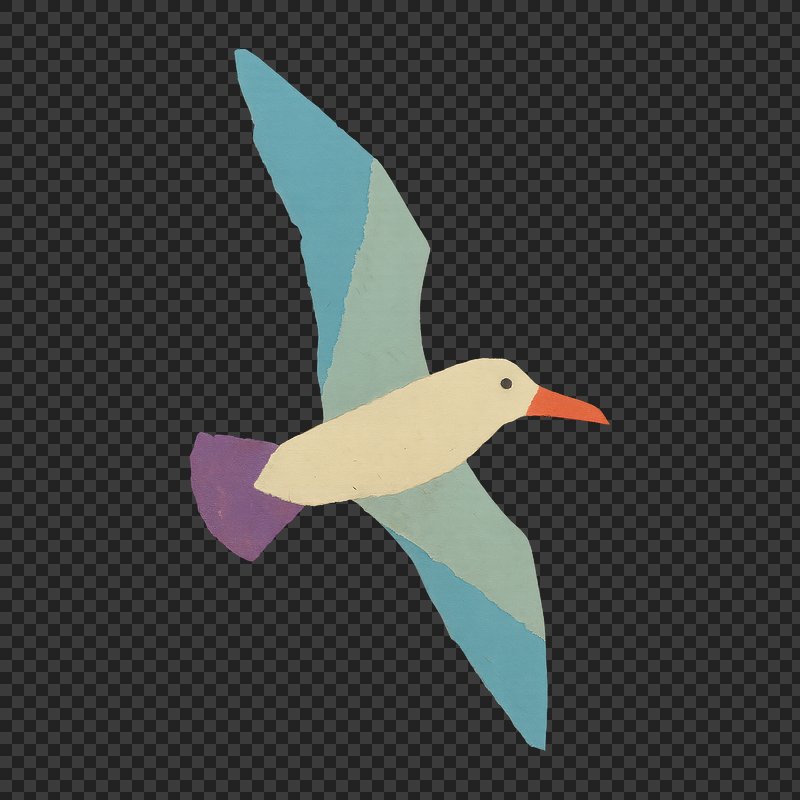 Seagull+drawing Bird Images | Free Photos, PNG Stickers, Wallpapers ...