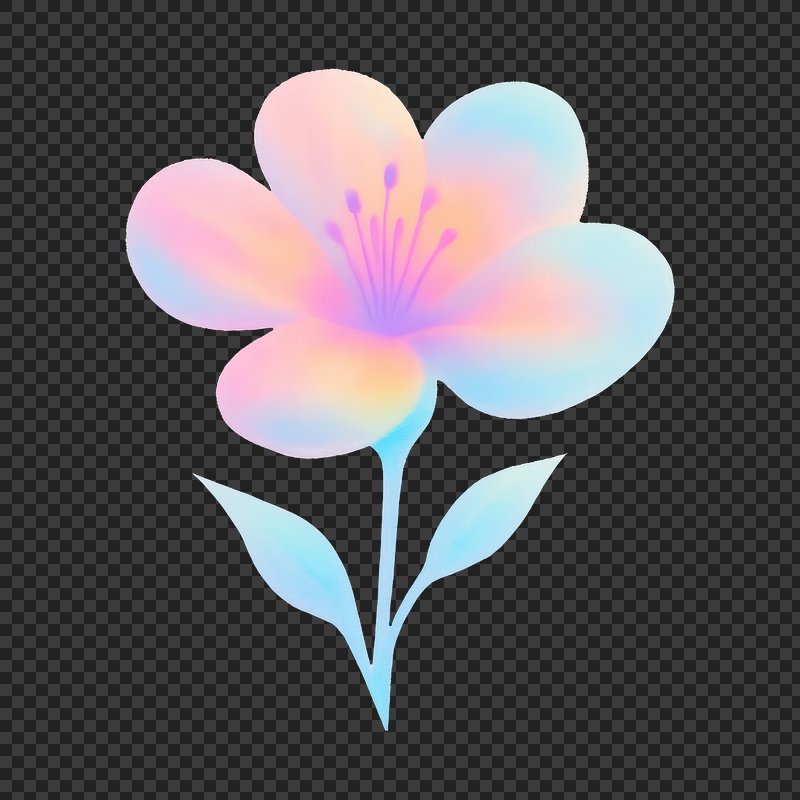 Flower Giving Nature Gradient Transparent Images | Free Photos, PNG ...