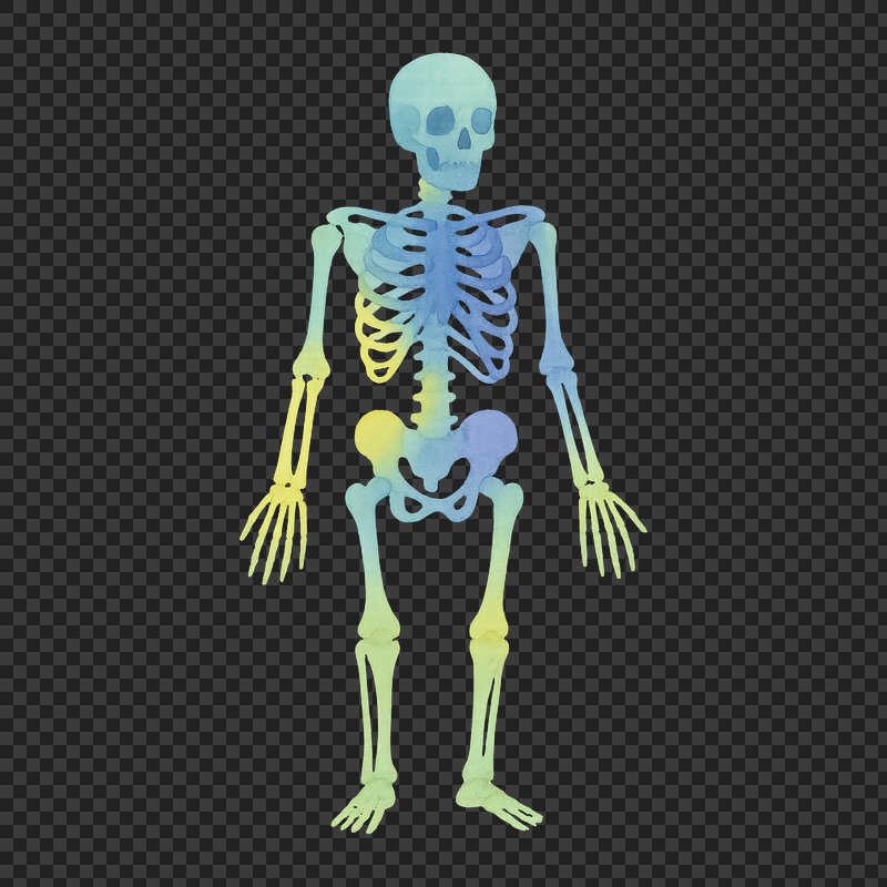 Green+skeleton Textures Images | Free Photos, PNG Stickers, Wallpapers ...