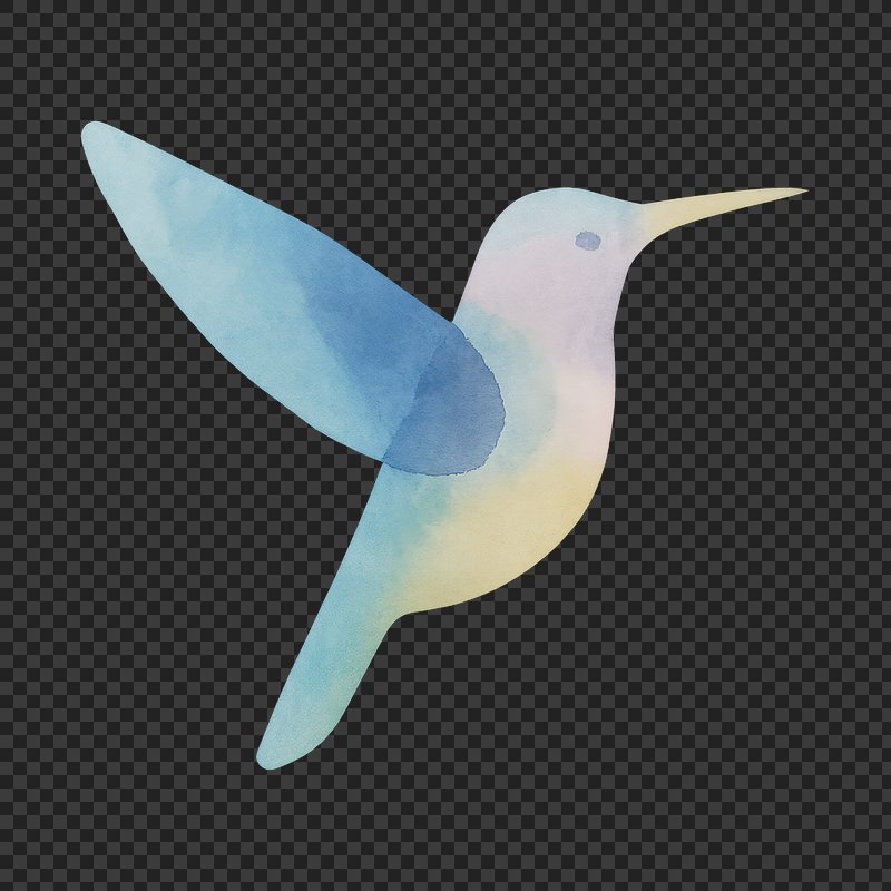 Hummingbird PNG Graphic Images | Free Photos, PNG Stickers, Wallpapers ...