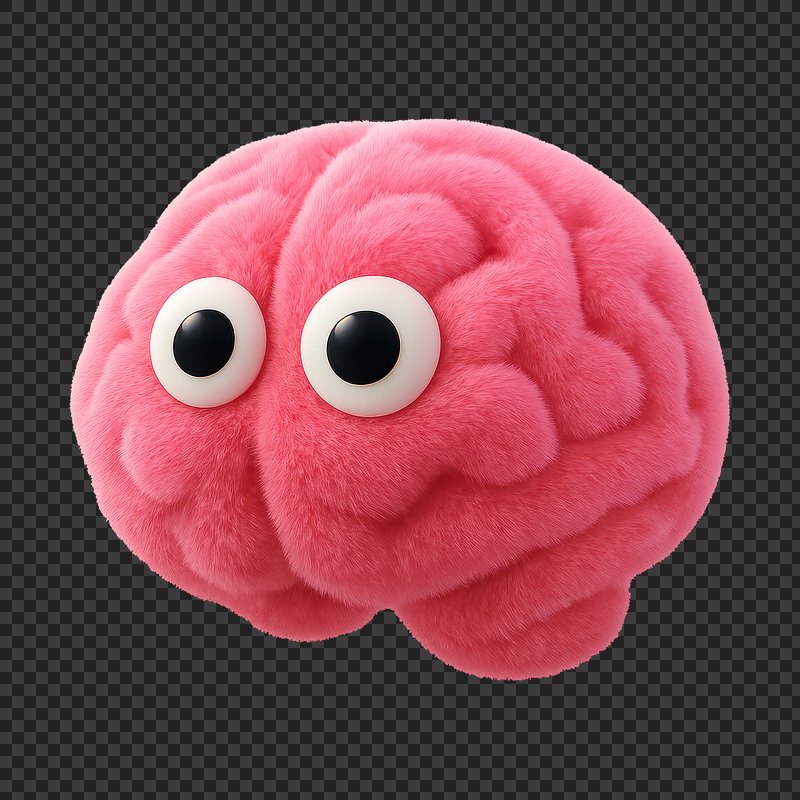 Transparent Brain Images | Free Photos, PNG Stickers, Wallpapers ...