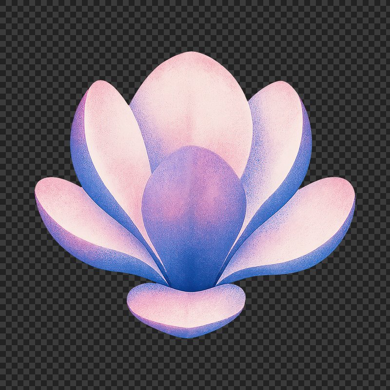 Magnolia Background Texture Images | Free Photos, PNG Stickers ...