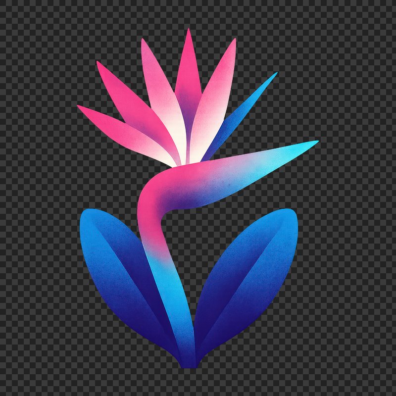 Bird Print Art Drawing Images | Free Photos, PNG Stickers, Wallpapers ...