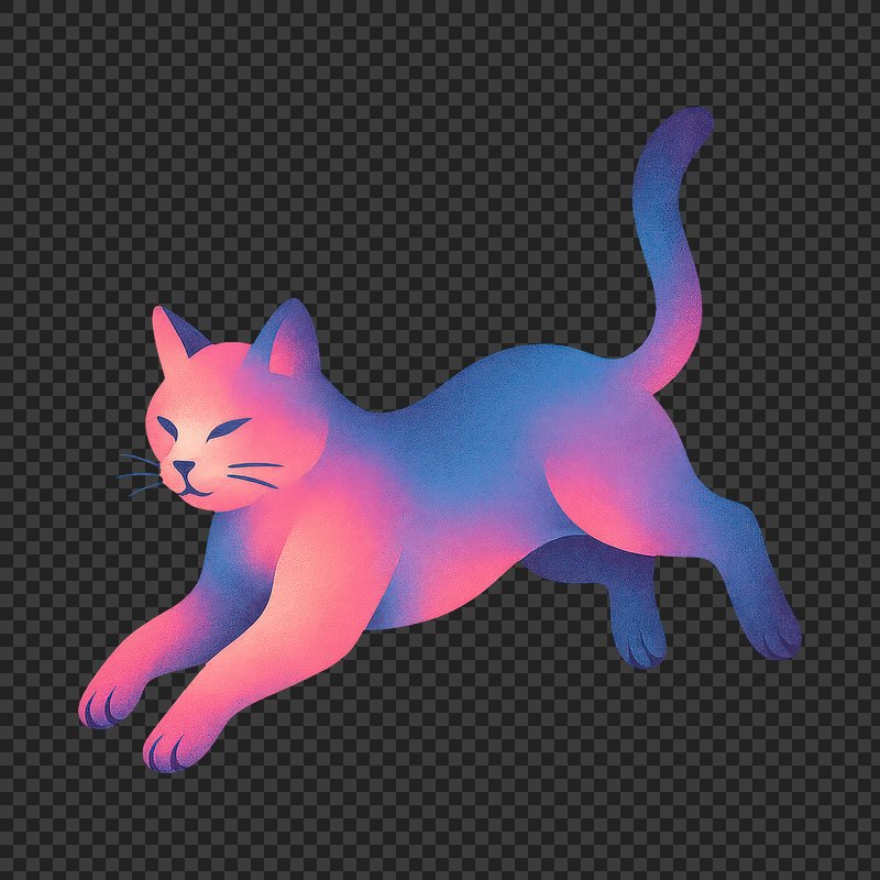 Realistic Cat Sticker Images | Free Photos, PNG Stickers, Wallpapers ...