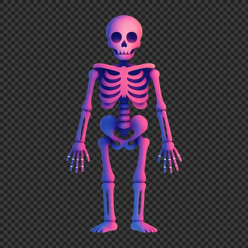 Anatomy+cartoon Human Images | Free Photos, PNG Stickers, Wallpapers ...