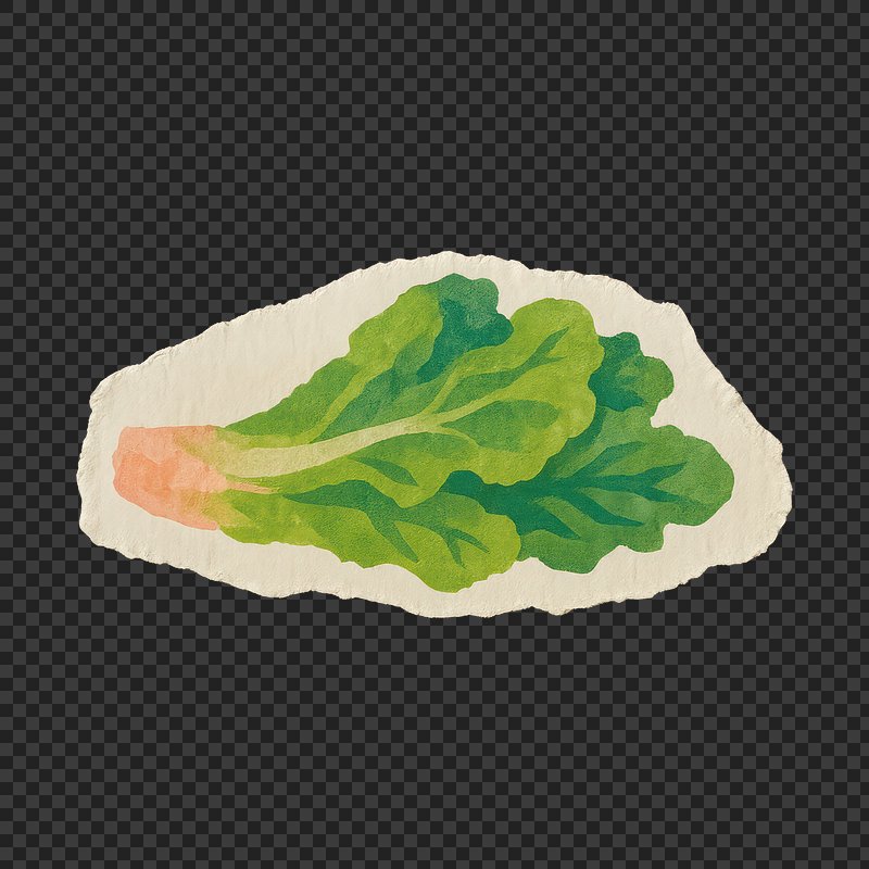 Vegetable Salad Background Shadow Images | Free Photos, PNG Stickers ...