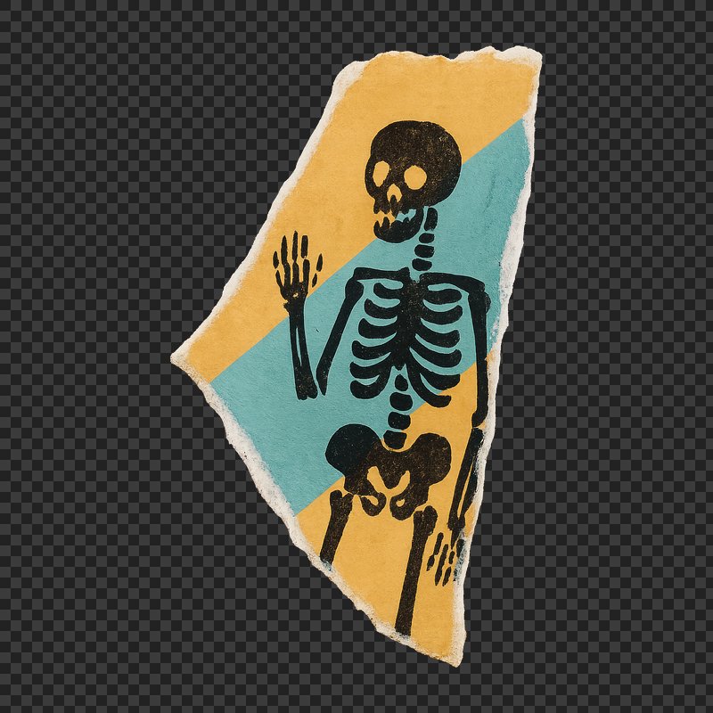 Small+skeletons Background Images | Free Photos, PNG Stickers ...