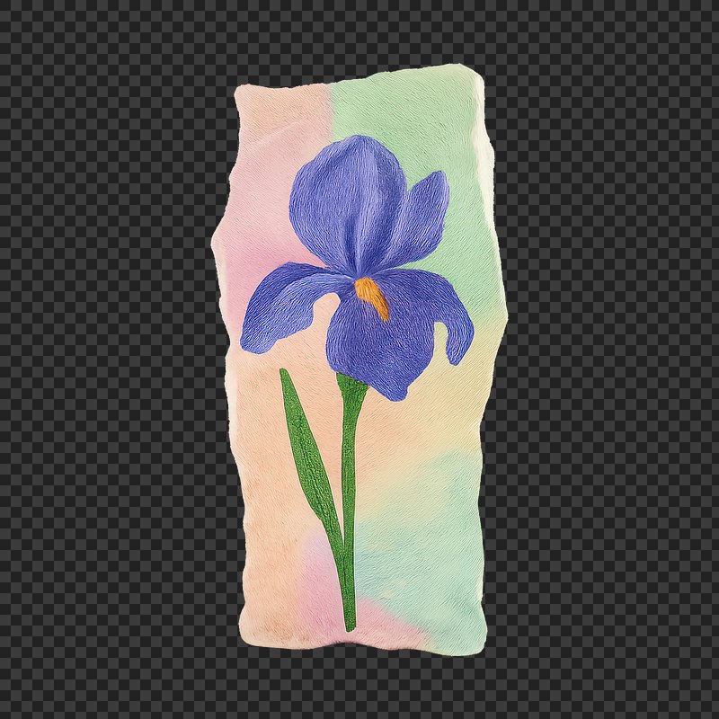 Iris+photo Paper Images | Free Photos, PNG Stickers, Wallpapers ...