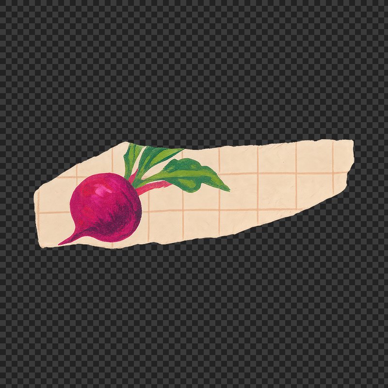 Beetroot Vegetable Paper Images | Free Photos, PNG Stickers, Wallpapers ...