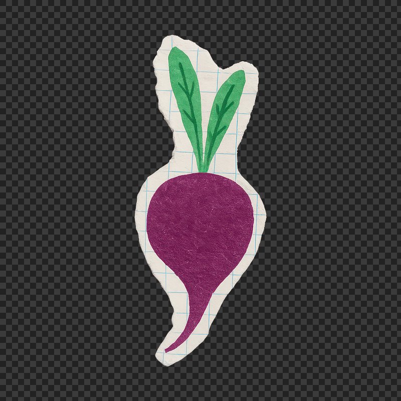 Beetroot Vegetable Paper Images | Free Photos, PNG Stickers, Wallpapers ...