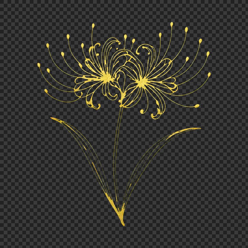 Spider+logos Design Images | Free Photos, PNG Stickers, Wallpapers ...