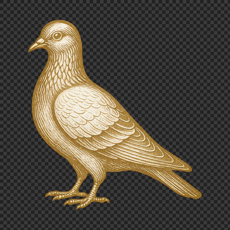 Pigeon Vintage Bird Transparent Images | Free Photos, PNG Stickers ...