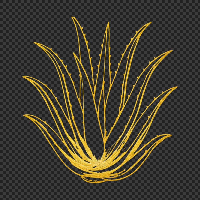 Aloe Leaves Background Images | Free Photos, PNG Stickers, Wallpapers ...