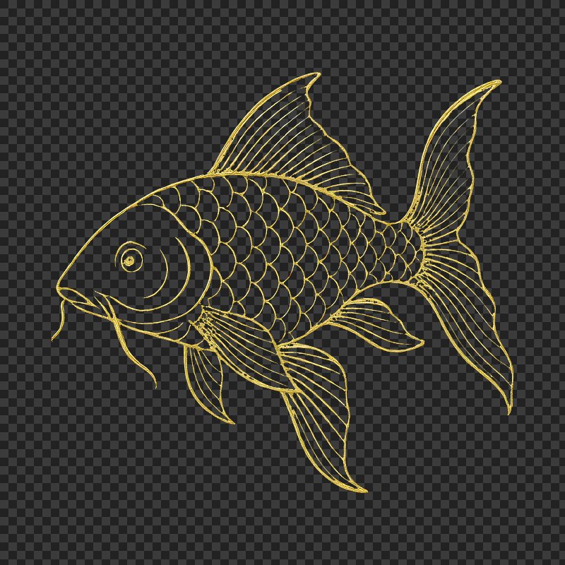 Scale Drawing Transparent Design Realistic Images | Free Photos, PNG ...