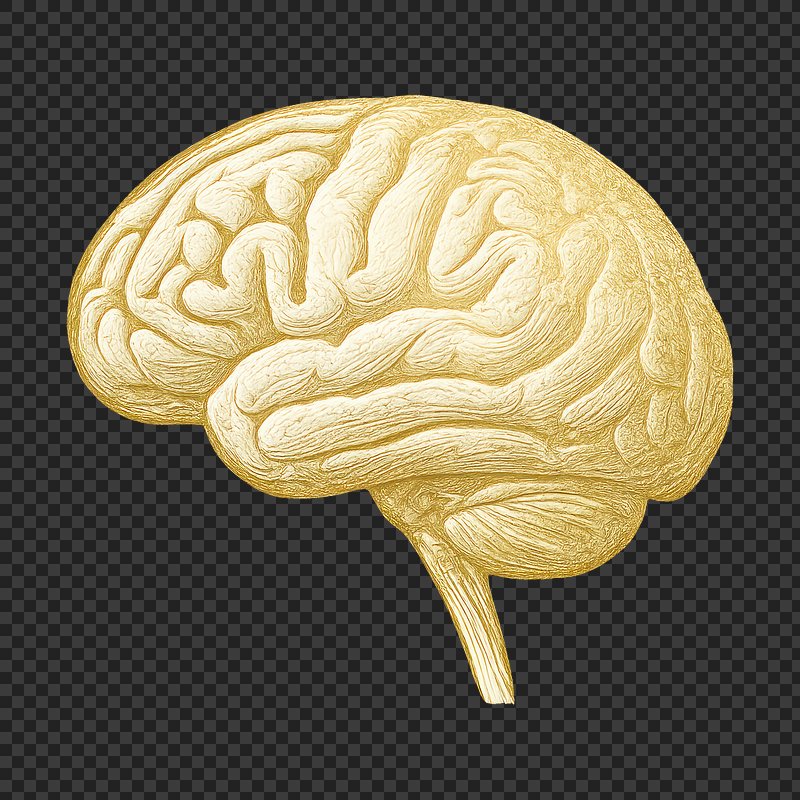 Brain+logo Design Images | Free Photos, PNG Stickers, Wallpapers ...