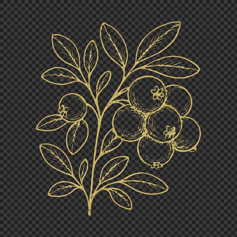 Gold Fruits Shadow Images | Free Photos, PNG Stickers, Wallpapers ...