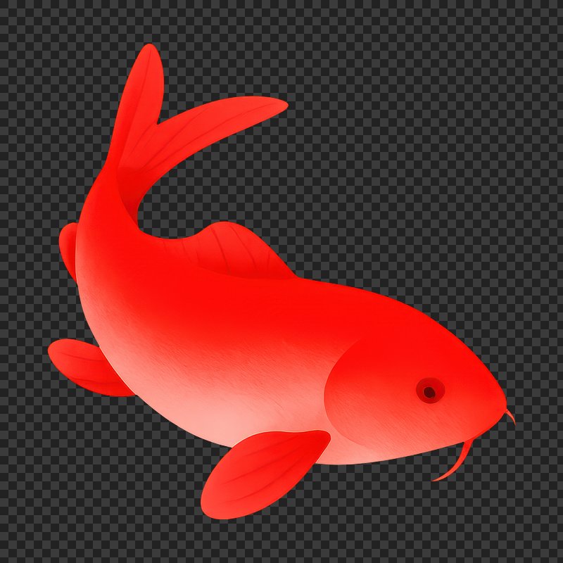 Koi+art Shadow Fish Images | Free Photos, PNG Stickers, Wallpapers ...
