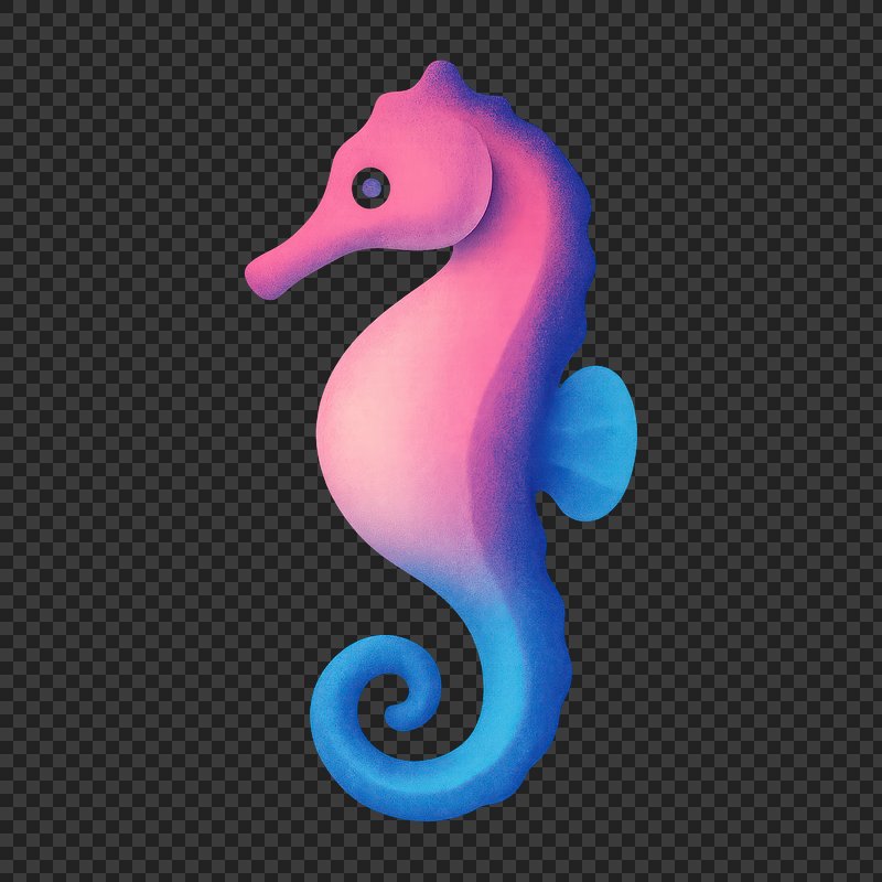 White Seahorse Background Sea Images | Free Photos, PNG Stickers ...