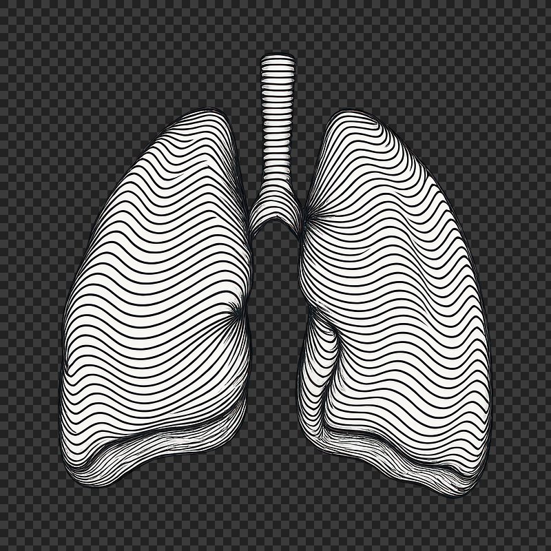 Human Anatomy Science Abstract Images | Free Photos, PNG Stickers ...