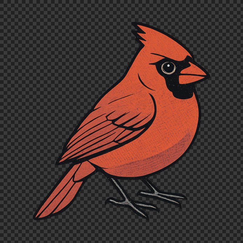 Cardinal Red Bird Wildlife Images | Free Photos, PNG Stickers ...