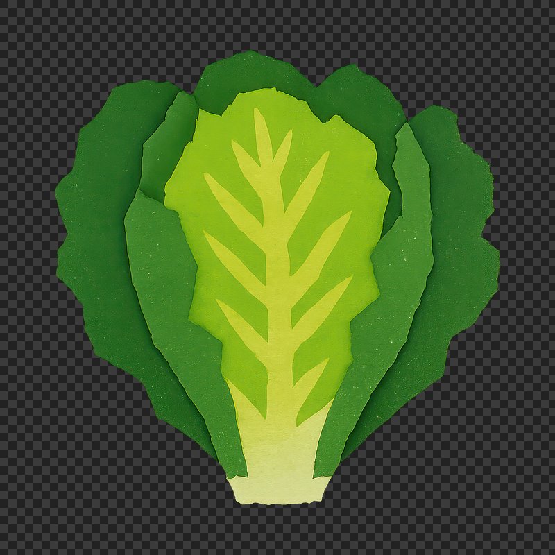 Vegetable Salad Background Shadow Images | Free Photos, PNG Stickers ...