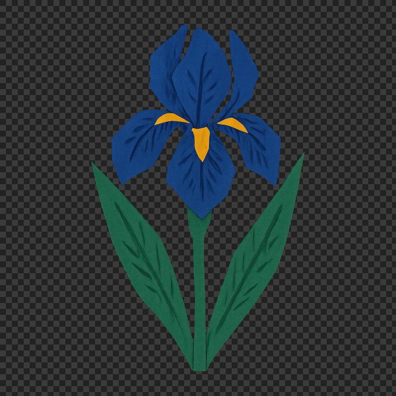 Iris+simple+illustration Design Images | Free Photos, PNG Stickers ...