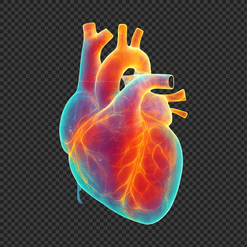 Human Anatomy Science Abstract Images | Free Photos, PNG Stickers ...